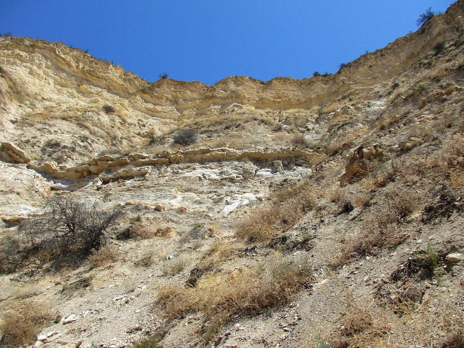 Iron Hiker: Little Pine Mountain Benchmark and Alexander Peak