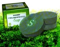 Manfaat Synergy Chlorophyll Soap- Toko Herbal Samarinda