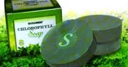 Manfaat Synergy Chlorophyll Soap- Toko Herbal Samarinda