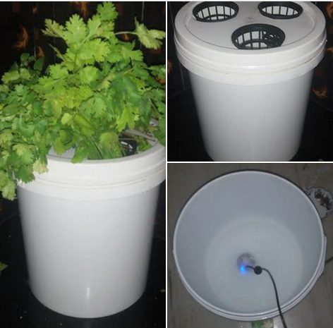 Chennai Hydroponics: Fogponics Aeroponics System