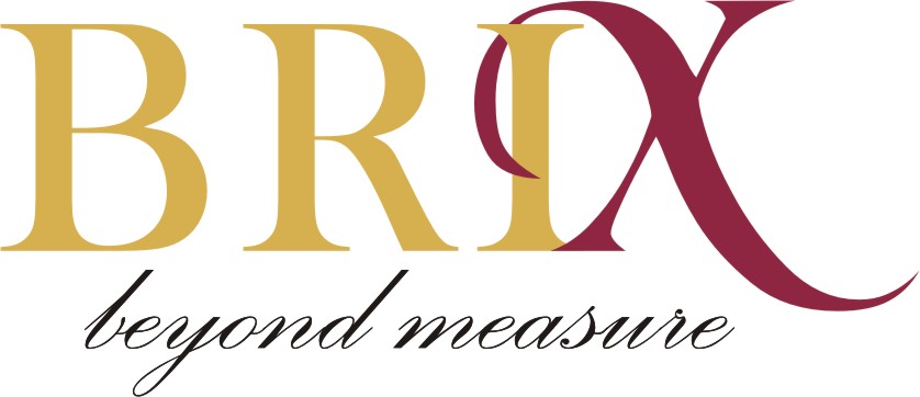 ZINIA JC : Logo Modification & Redevelopment for BRIX