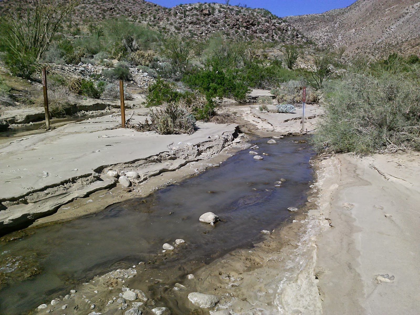 AdventureGraham: ABDSP: Culp Valley, Coyote Canyon, Kane Springs Road ...