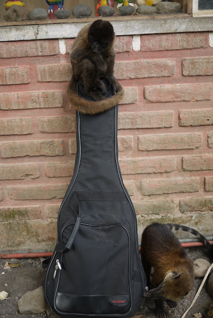 learning curves, y tal y tal: Ecuador: The Perfect Bowl of Porridge