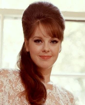 Carol Paulus's Instagram, Twitter & Facebook on IDCrawl