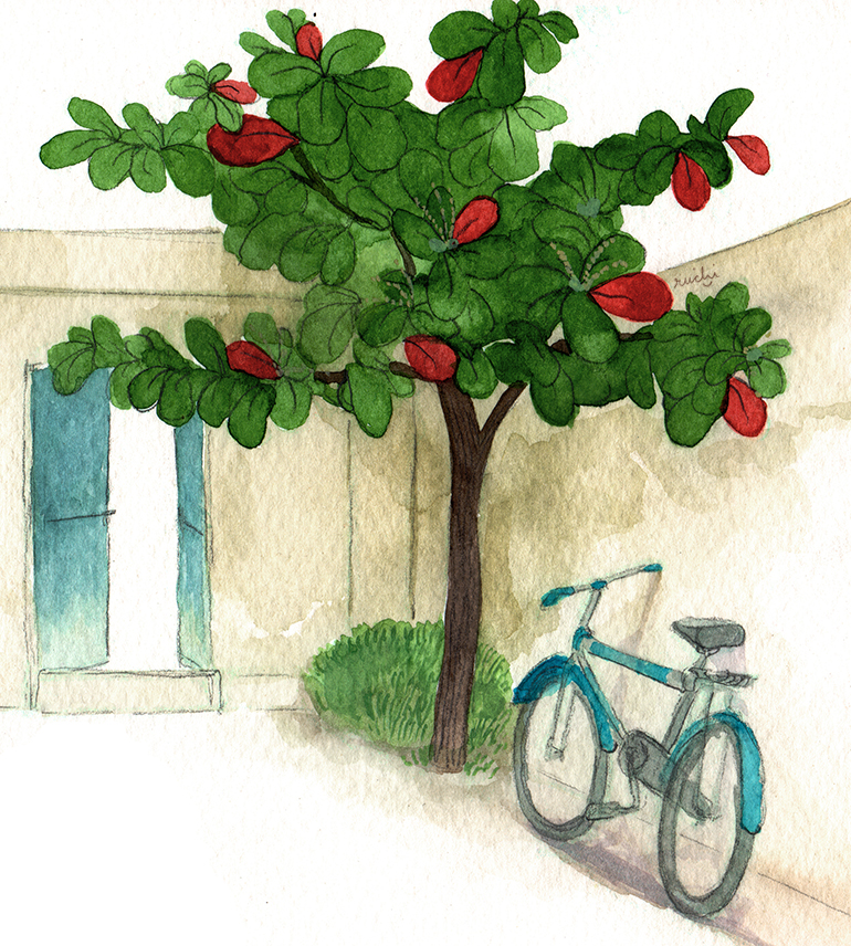 The Lal Badam Tree - Ruchi Mhasane