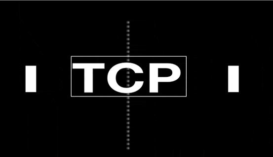 Protocolo de Control de Transmision 💻 Informaticos 15