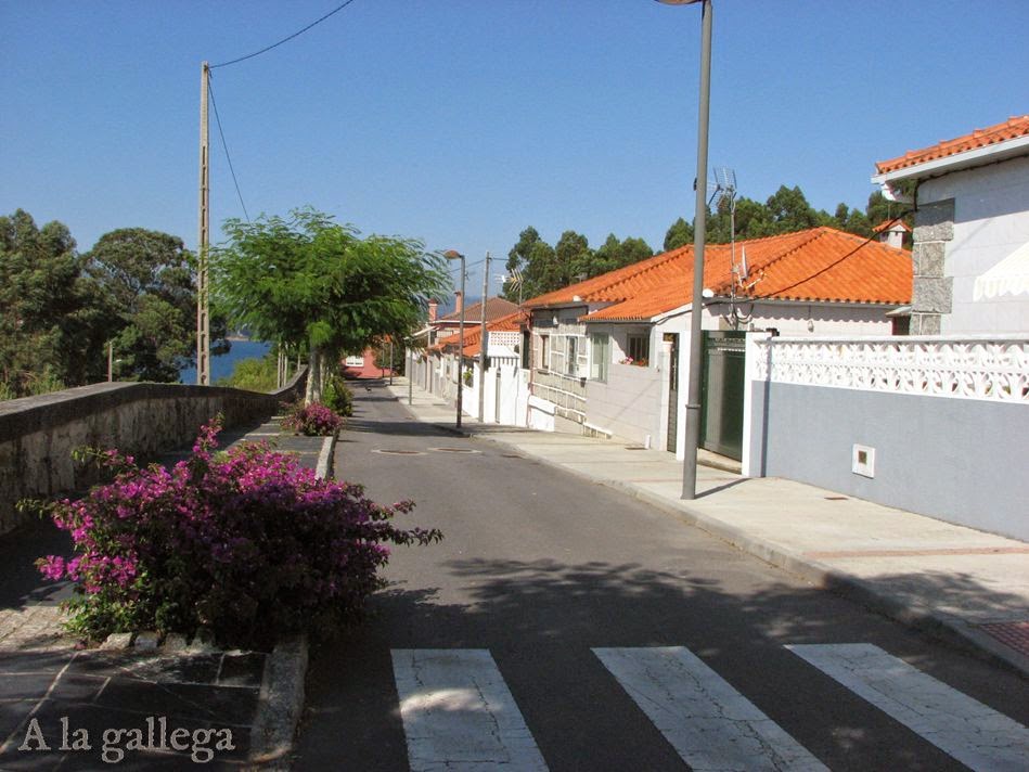 A la gallega: Un paseo por Mogor: playa y algo más que petroglifos con ...