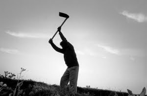 Tips Dan Teknik Mencangkul Yang Baik & Benar - Bibit Indah