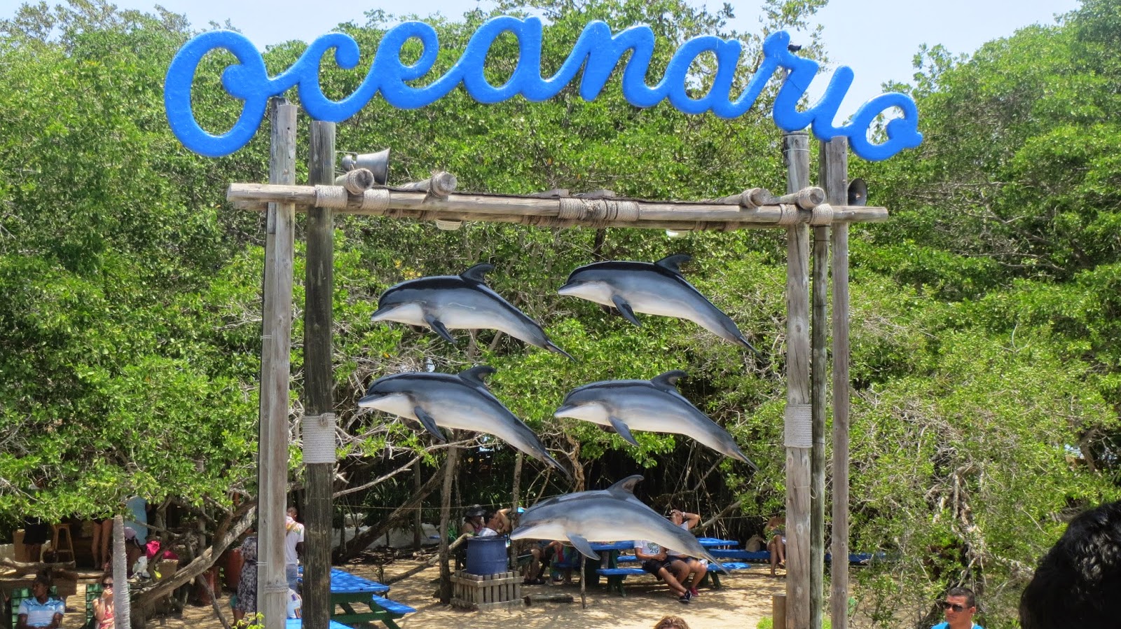 Colombia en Suecia: Oceanario en Cartagena