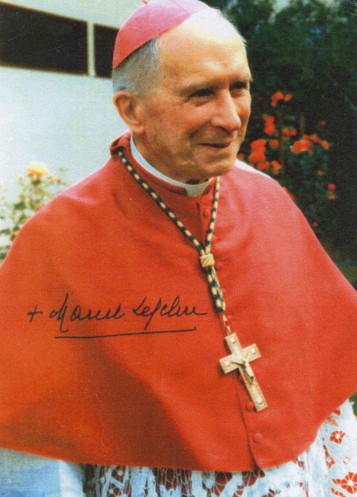 anti dinoscopus: 2012