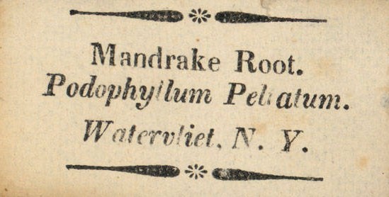The Sampler Maker's Farmhouse; Primitive, Vintage, Farmhouse Decor ...