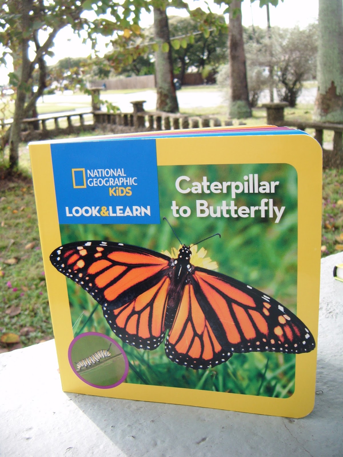 The ABCD Diaries: Spring Has Sprung! Get Outdoors With National ...