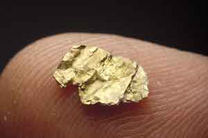 Let Wisdom Mark the Way: Flecks of Gold