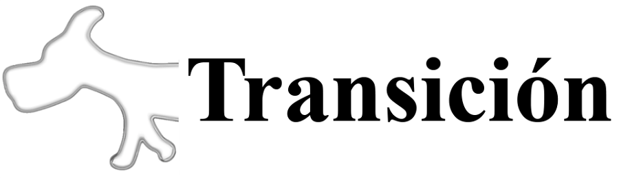 Transición: Letra fonética de Gangnam Style