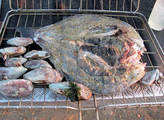 LEKKER RESEPTE VIR DIE JONGERGESLAG: GALJOEN