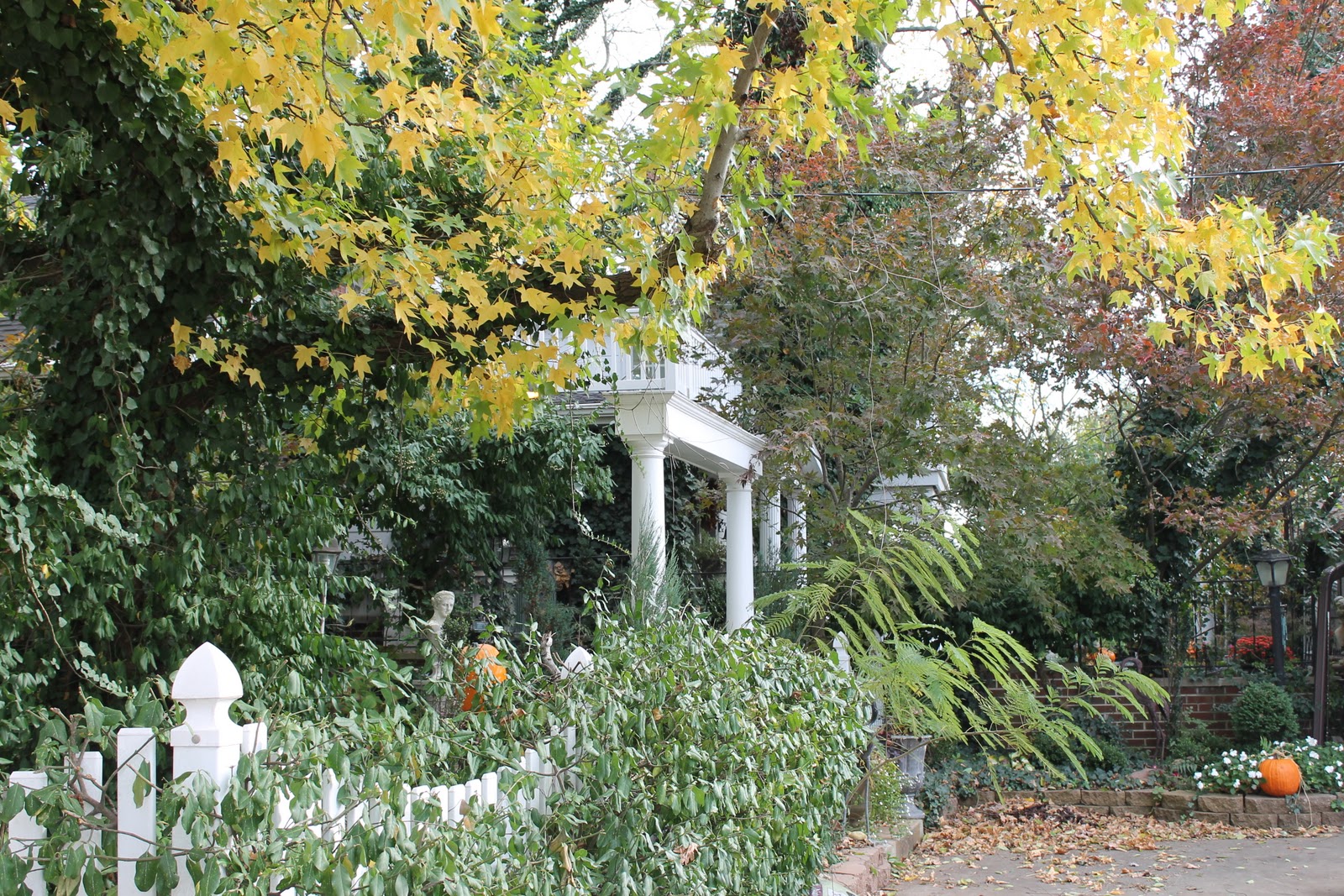 Janie Fox talks: Unexpected Blessings