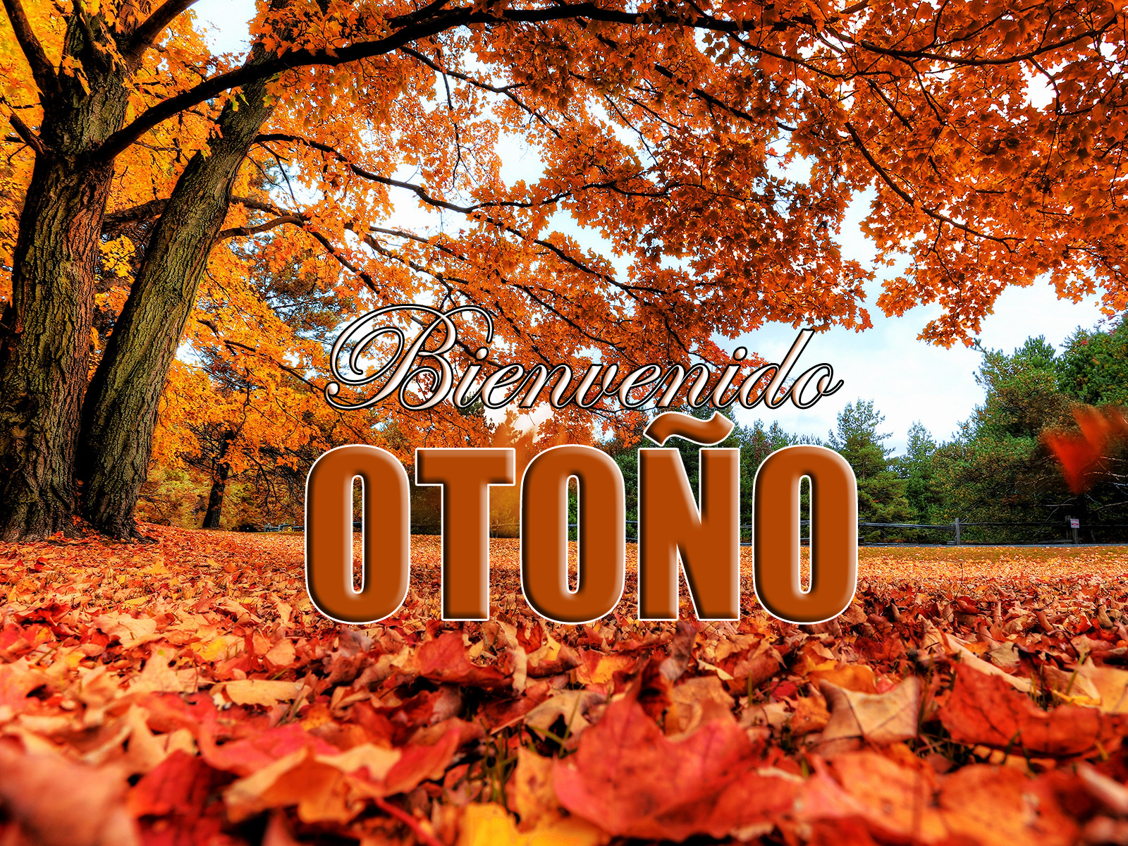 BANCO DE IMÁGENES GRATIS: Bienvenido Otoño - Postales con Mensajes y ...