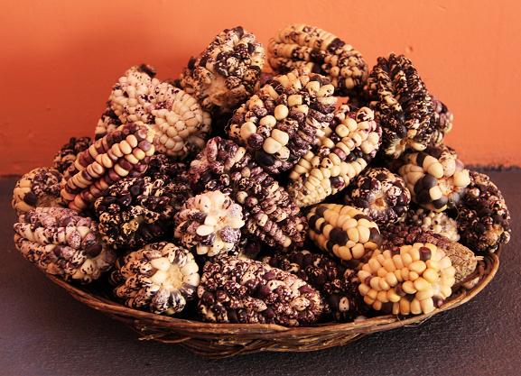 Viajando: O milho colorido do Peru