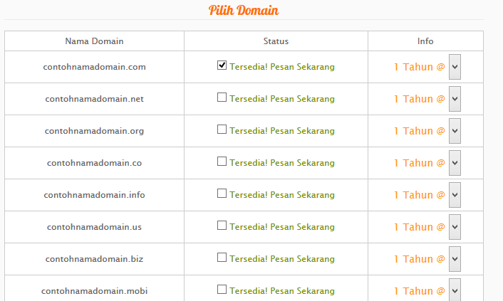 Pengertian, Fungsi, Contoh Jenis Domain Serta Cara Membeli Nama Domain