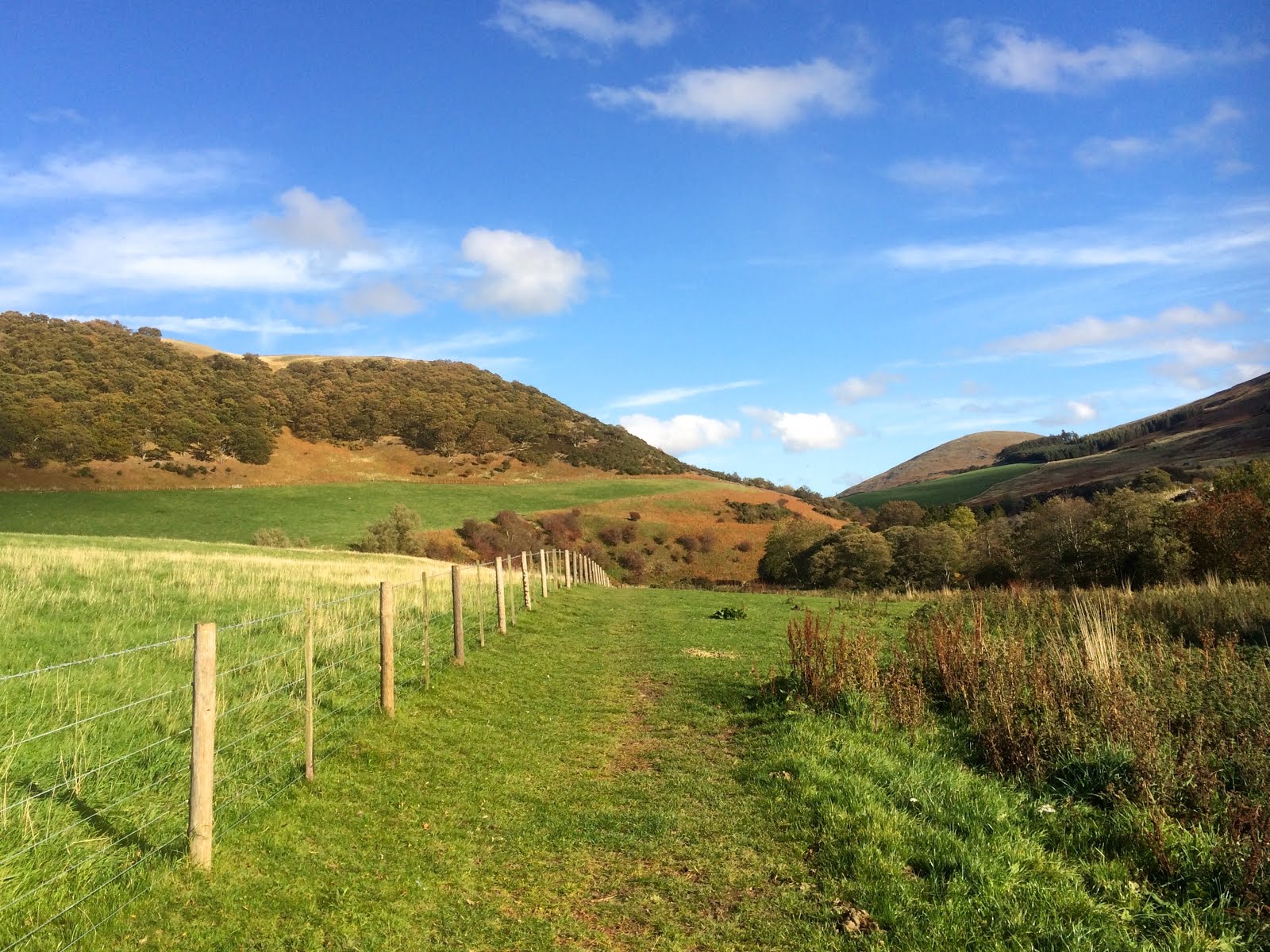 Days out in the Borders : Hethpool Linn Walk