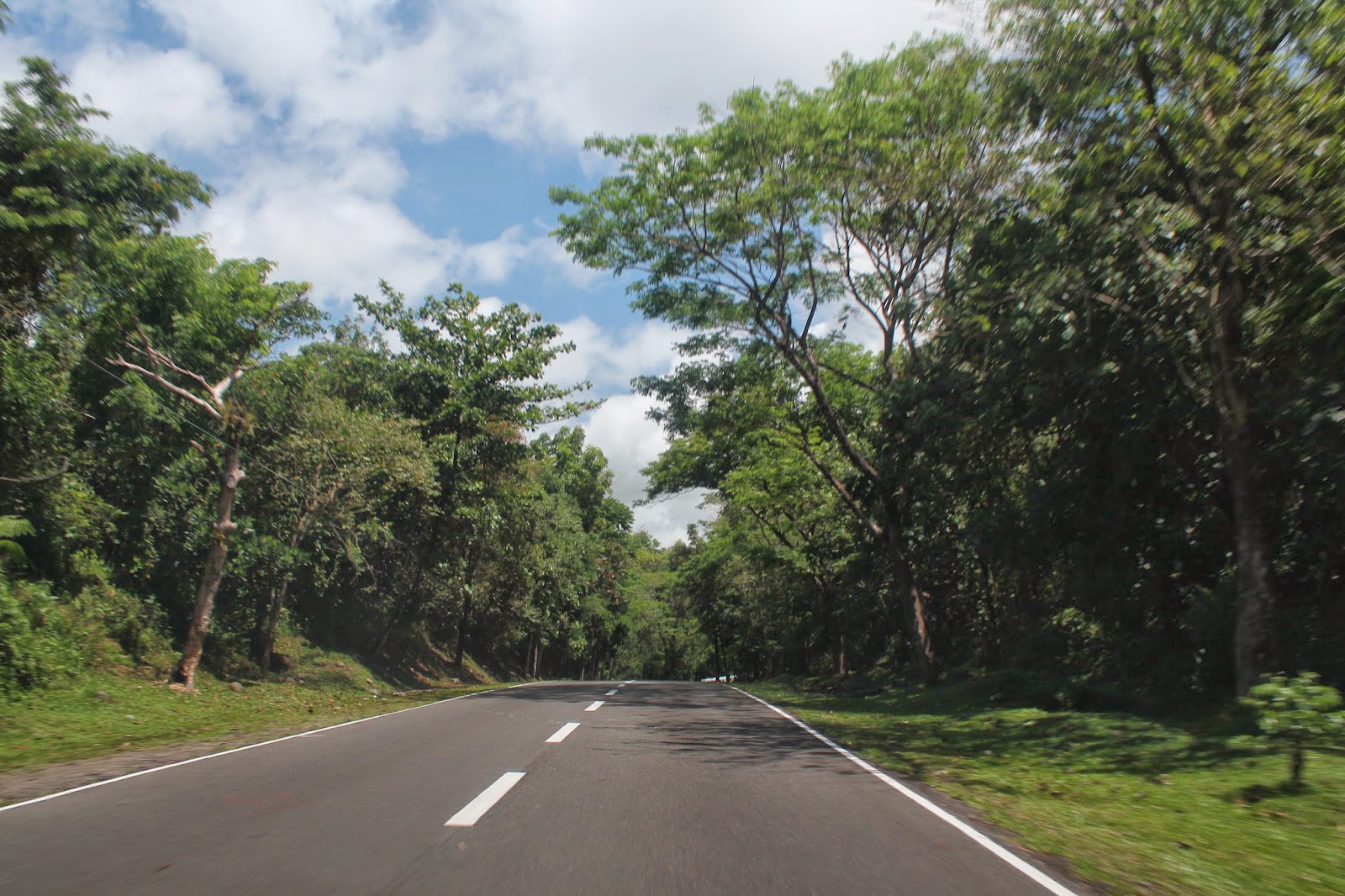 Stay, Stray, Play and Feast: Naga City, CamSur to Daet, CamNorte ...