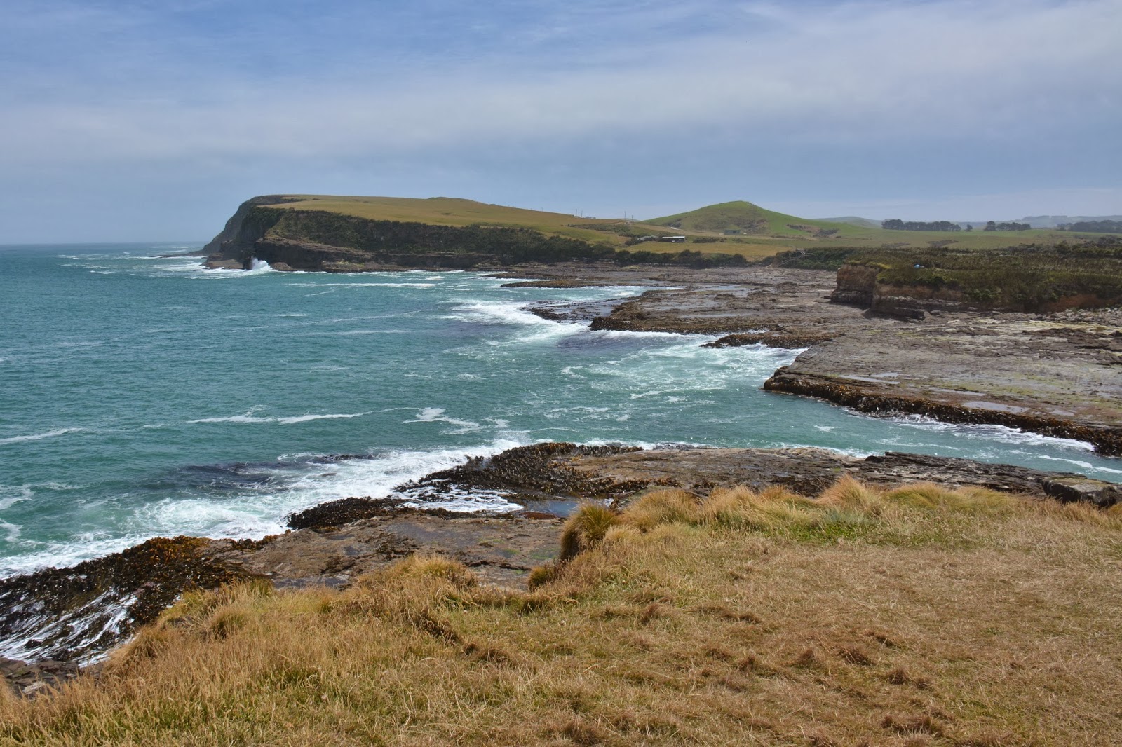 Two Go Tiki Touring: Waikawa, Curio Bay & the Petrified Forest, Catlins
