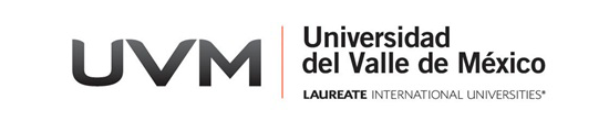 UVM LX Administración 2013: Estrategias de Aprendizaje (Contenidos ...