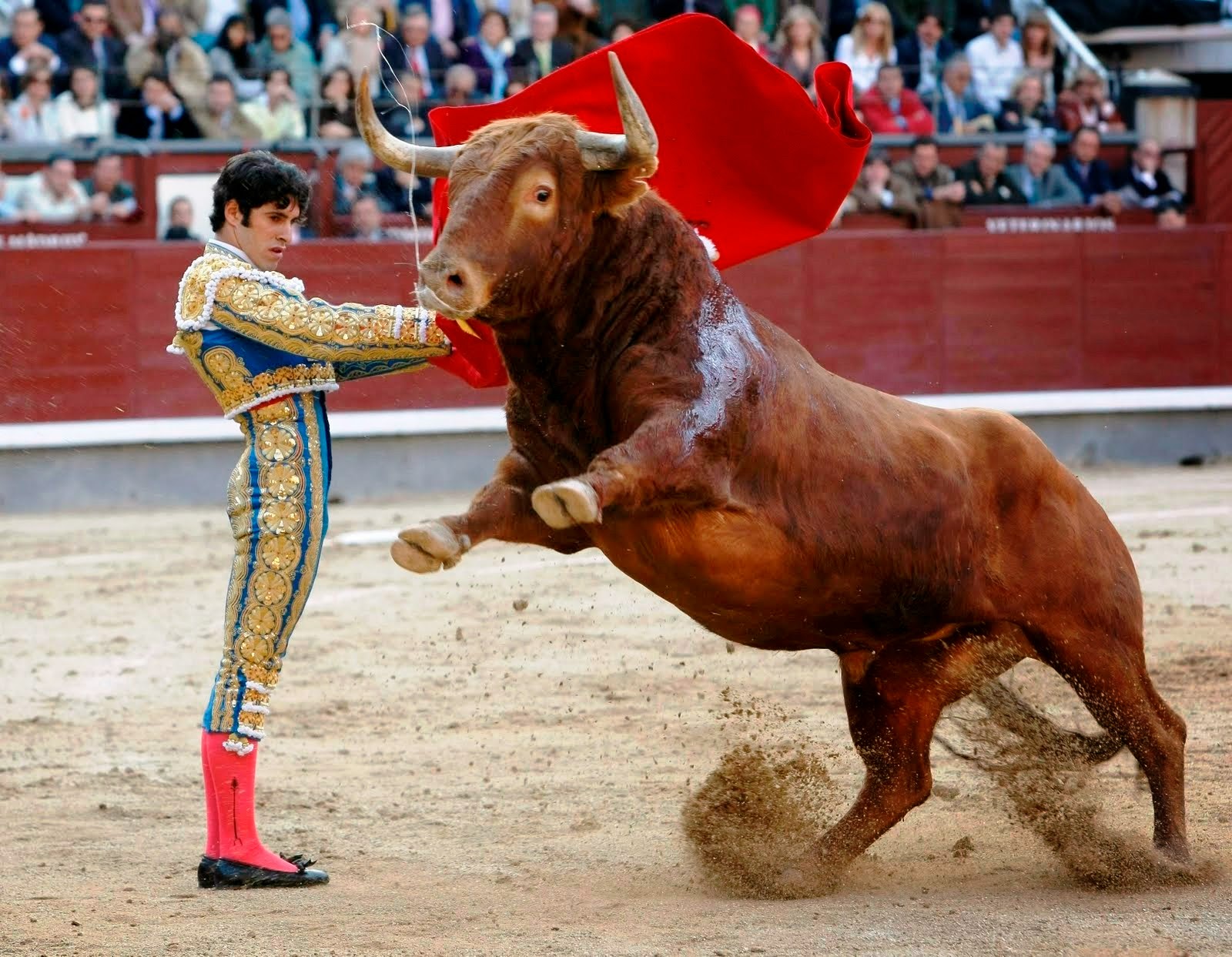 Tinto y Oro: Alejandro Talavante / OPUS DE LA SENSIBILIDAD SINCERA