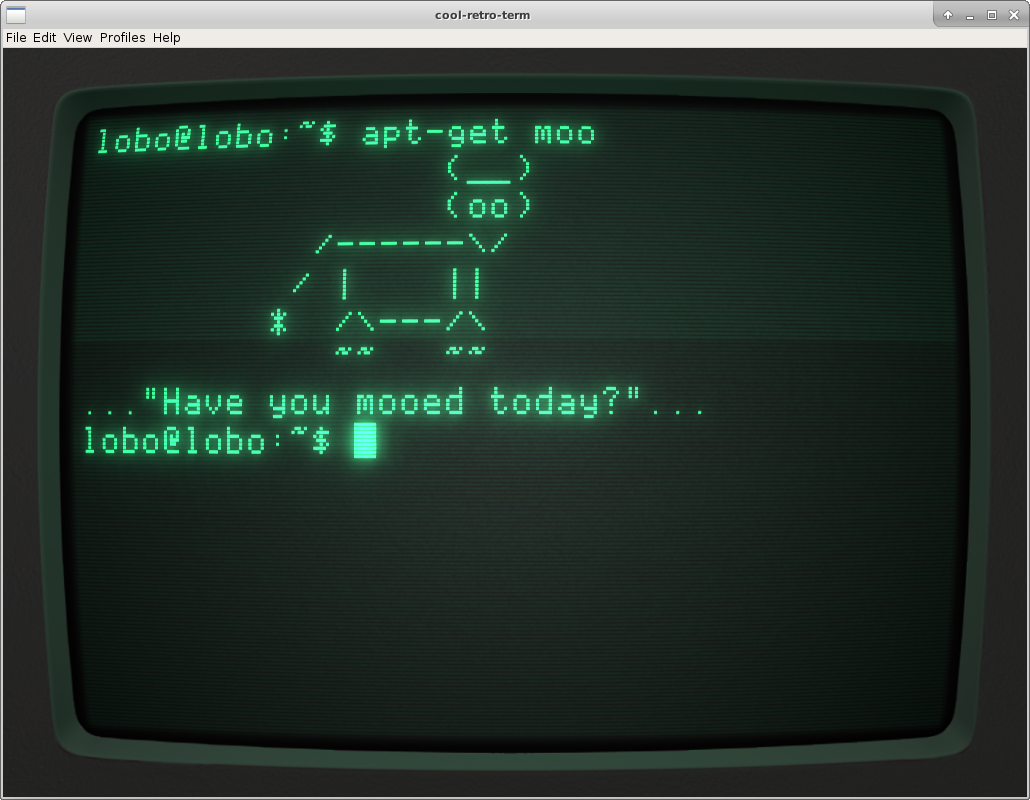 Cool-retro-term, um terminal retro pra o seu Debian e Ubuntu