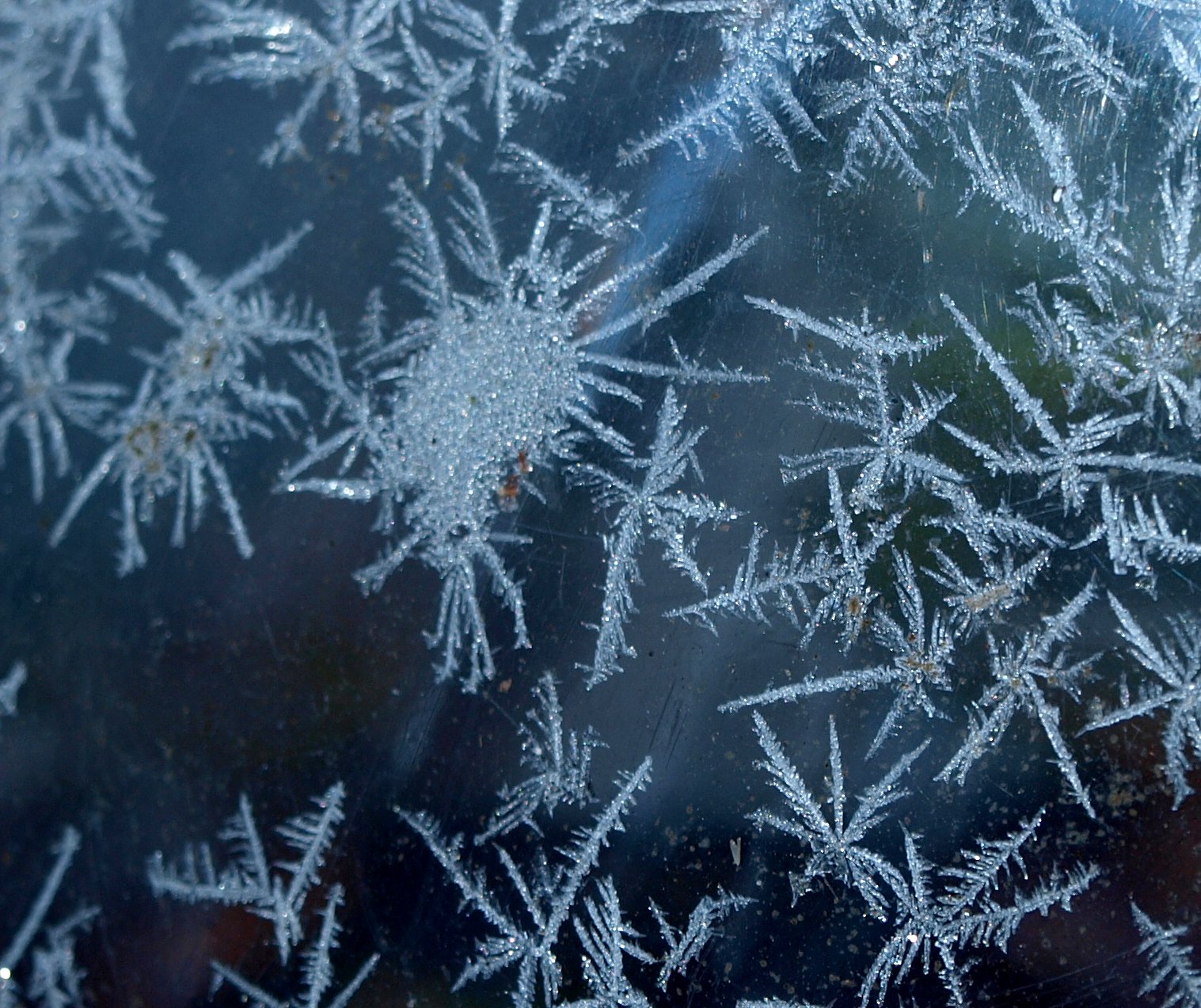 Mark's Veg Plot: Frost patterns - Nature's own artform