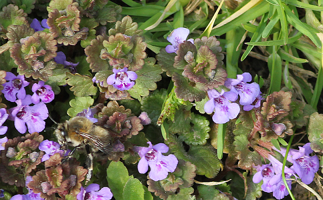 Blog Archives - downbfile