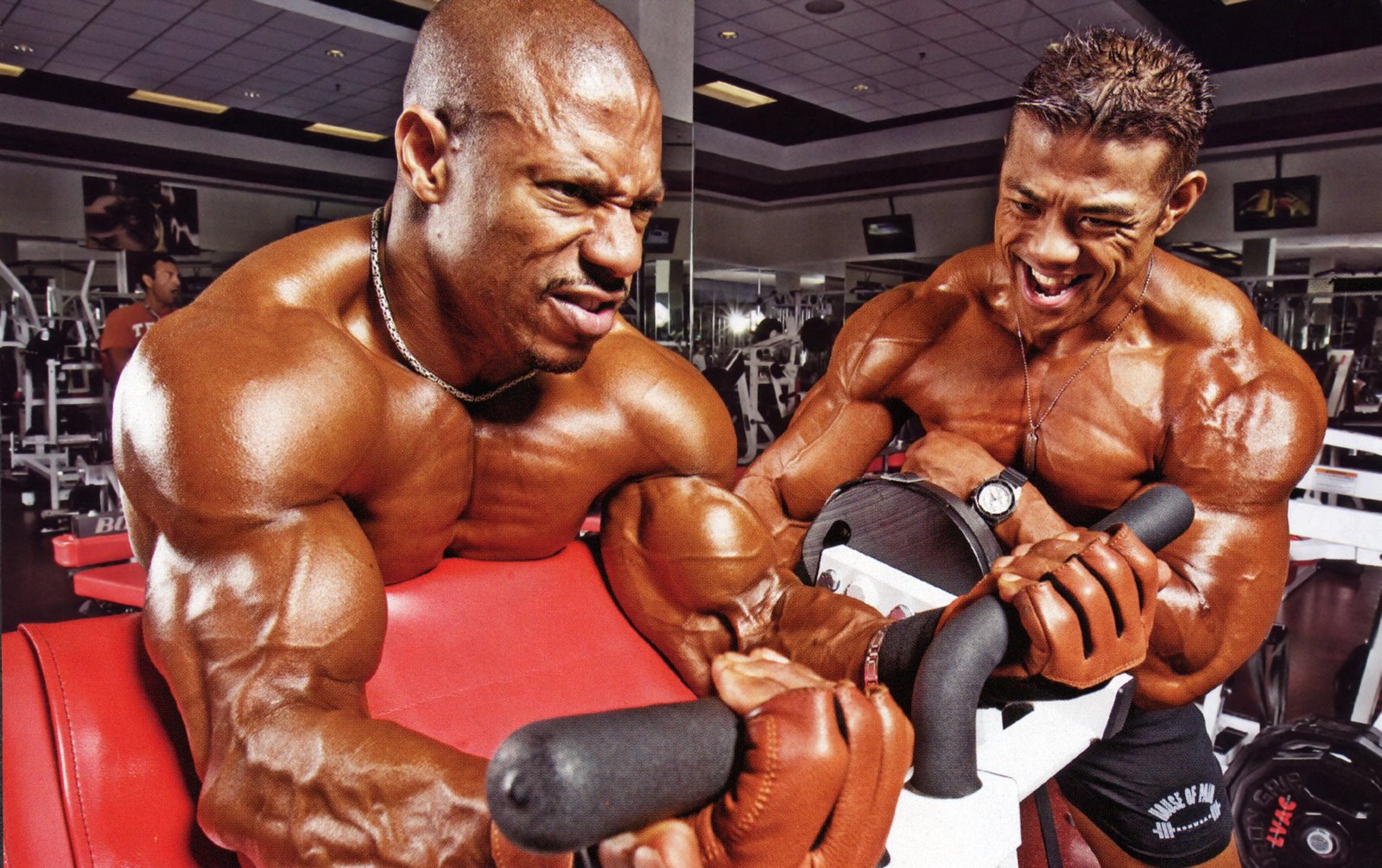 the beauty of male muscle: Richard & Ray