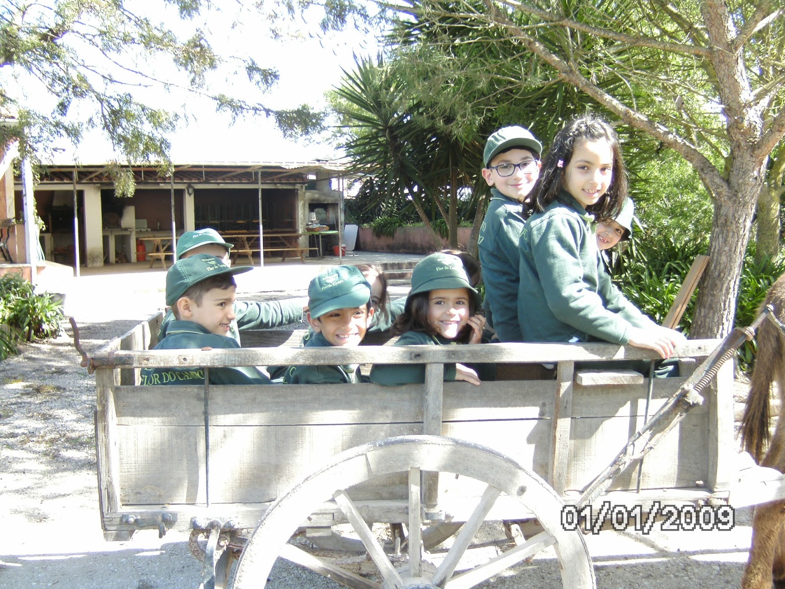 QUOD ERAT - Externato Flor do Campo: 1.º Ano