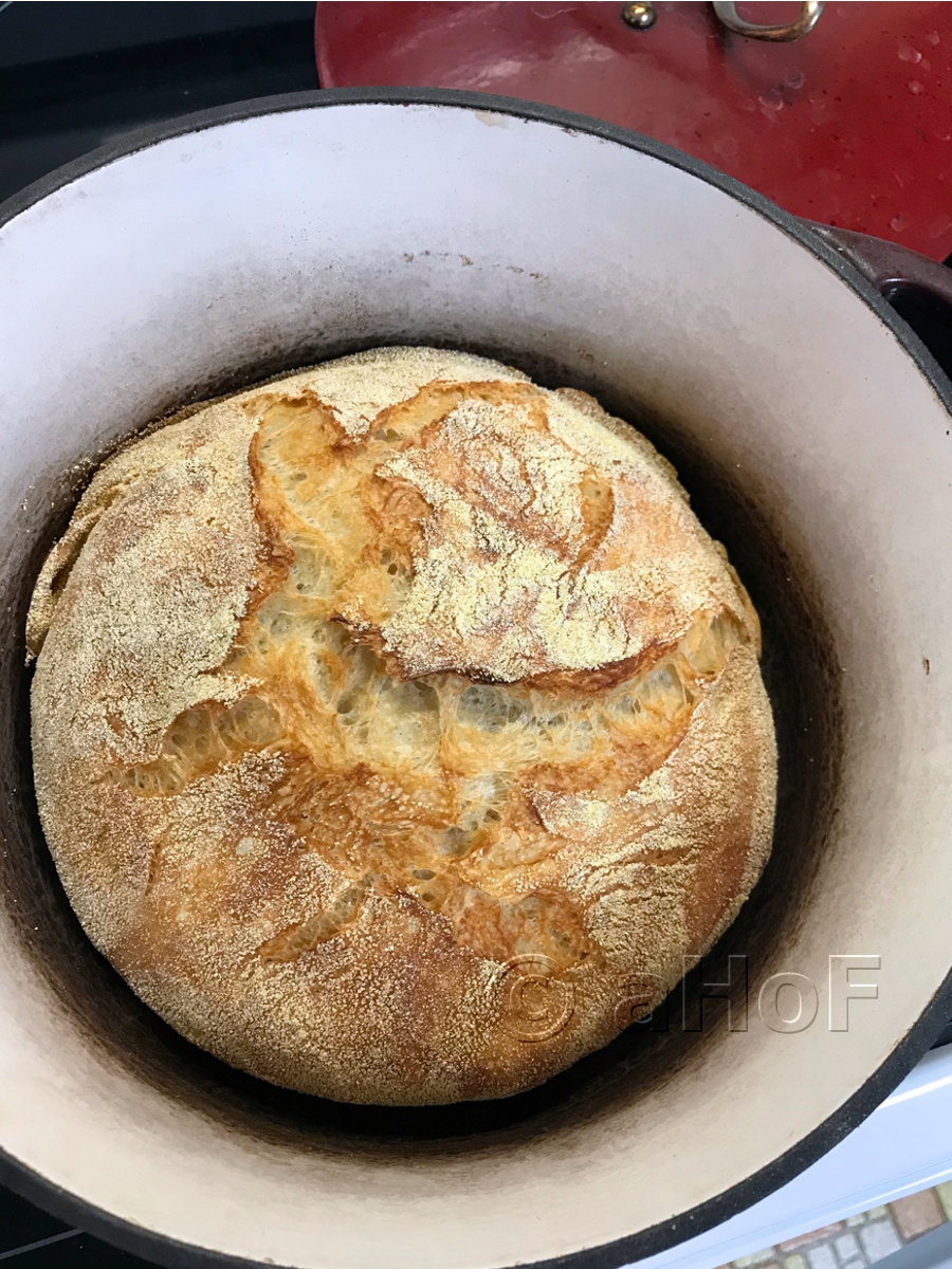 A Harmony of Flavors: Best Bread Ever