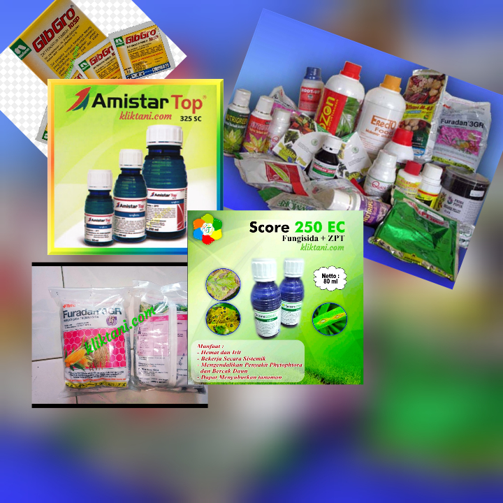 Terbukti! berbagai obat hama padi paling ampuh yang paling terpercaya ...