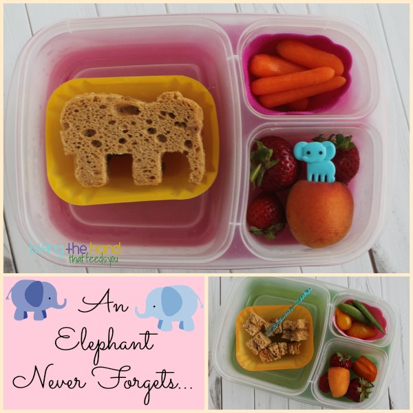 Biting The Hand That Feeds You: An Elephant Never Forgets a Yummy Lunch!