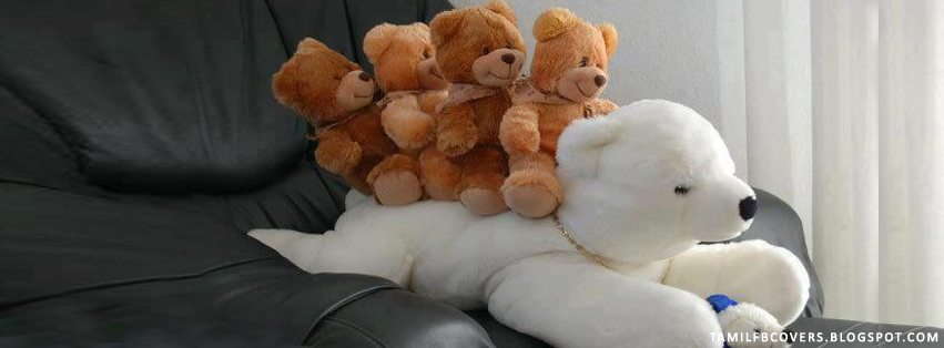 My India FB Covers: White teddy bear and four small teddies - Cute FB Cover