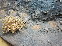 Battleground Hobbies: How to Build a Bunker for Warhammer 40k Terrain