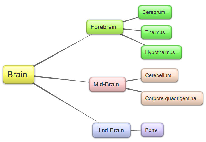 CBSE Papers, Questions, Answers, MCQ ...: CBSE - Class X - Science ...
