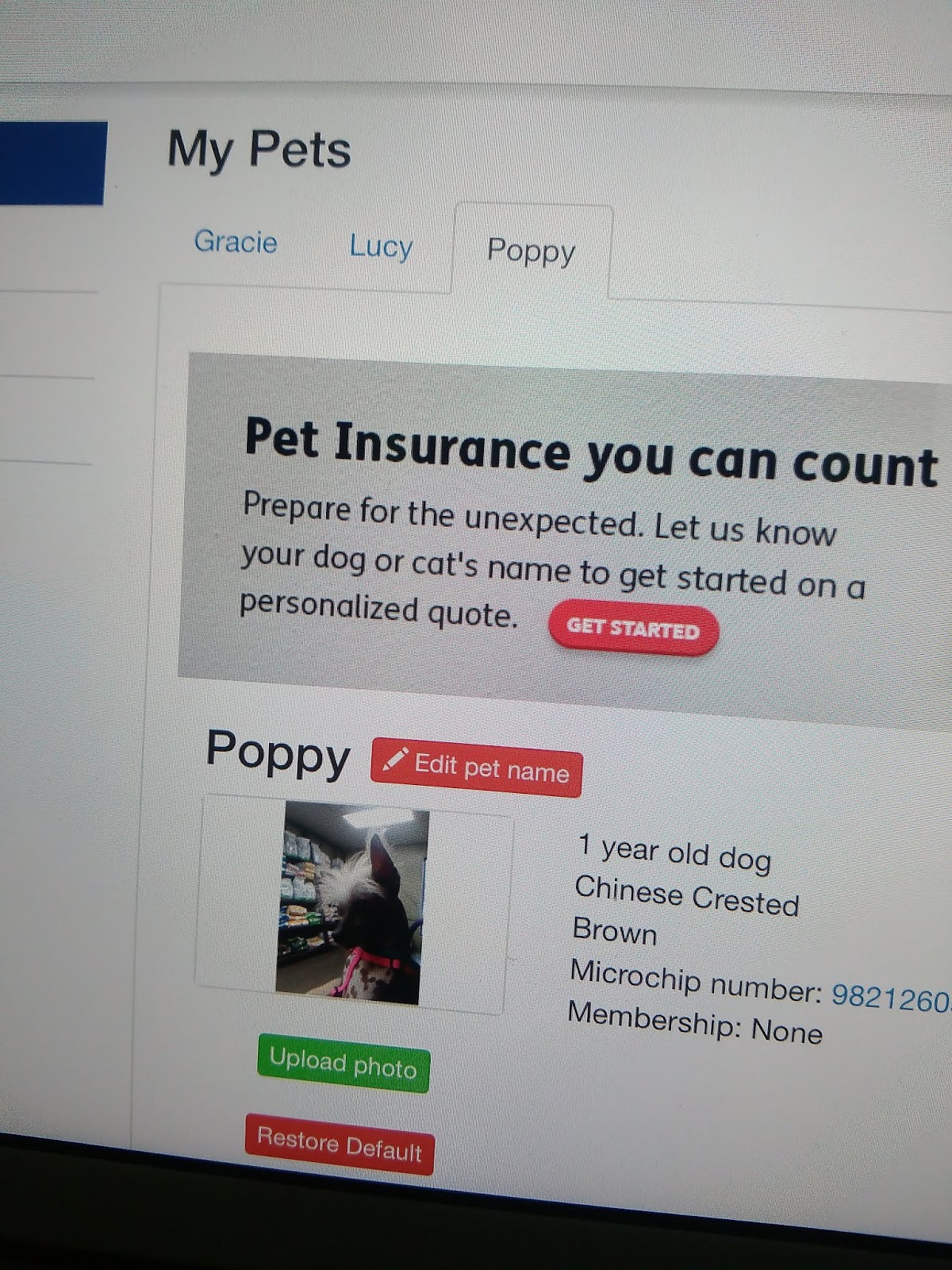 LWL17: Microchip Service Review - HomeAgain & 24PetWatch