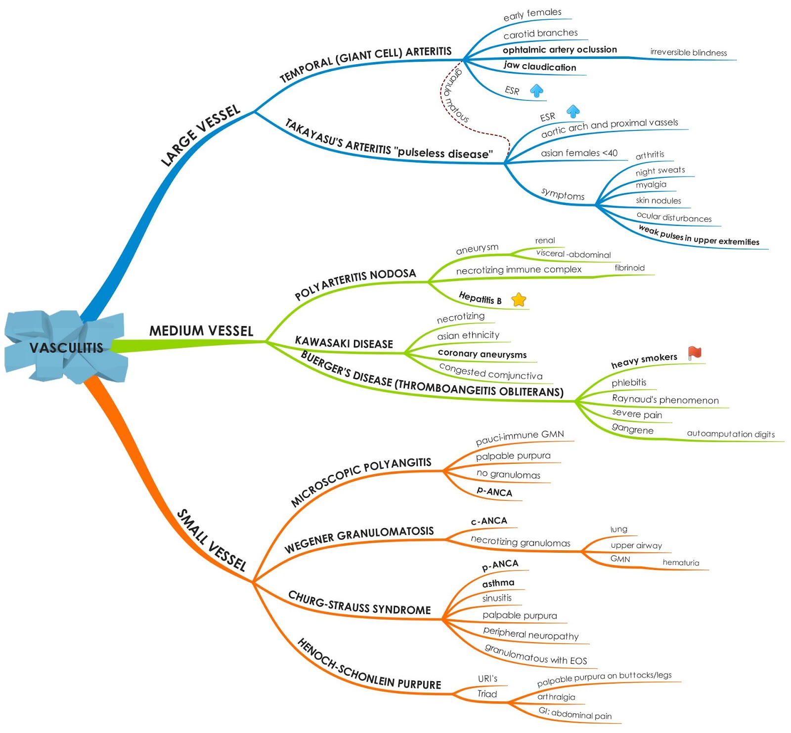 Medical MindMaps for USMLE Step 1: Vasculitis