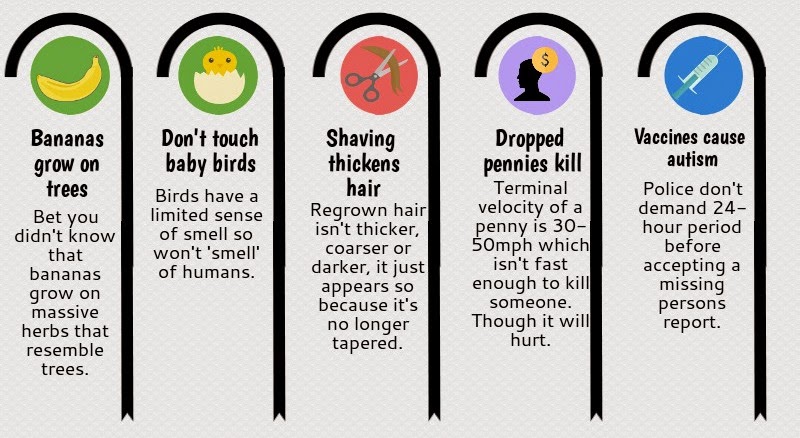 Keep Calm and DIY!: 65 of the Most Common Myths and Misconceptions ...