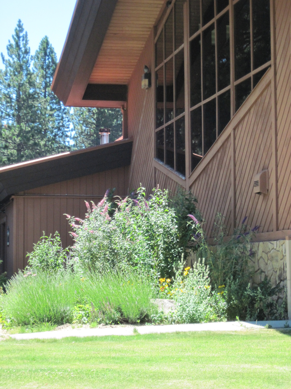 Mitt campus | Att bo i USA