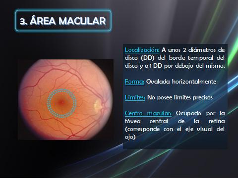 POSTGRADO DE NEUROCIRUGÍA - HOSPITAL CENTRAL DE MARACAY - VENEZUELA ...