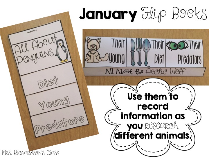 Primary Powers: Arctic Animal Fun, Freebie, and Flip Books!