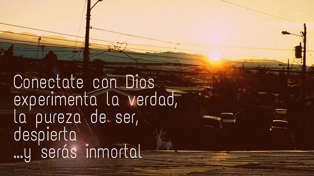 Ser Real, ser Vivo: Experimenta la verdad, la pureza de ser, Despierta