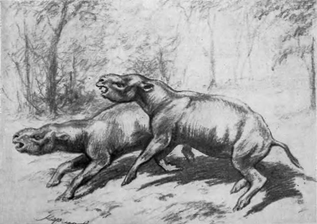 Escenarios prehistóricos: Eggysodon