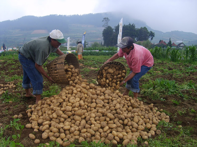 Dataran Tinggi Dieng | ANANGPEDIA