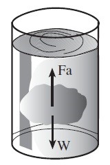 Gaya Apung dan Hukum Archimedes - Science
