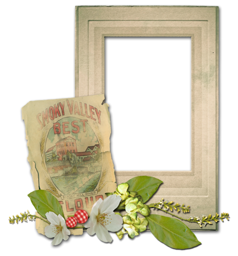 ForgetMeNot: Cluster frames